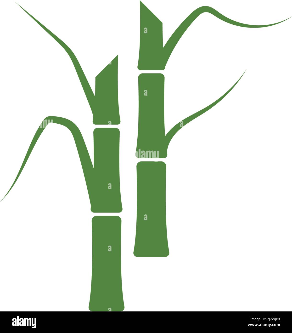 Sugar cane plant logo vector illustration design Stock Vector Image ...