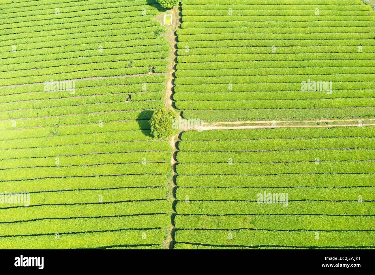 GUILIN, CHINA - APRIL 4, 2022 - An aerial photo taken on April 4, 2022 ...
