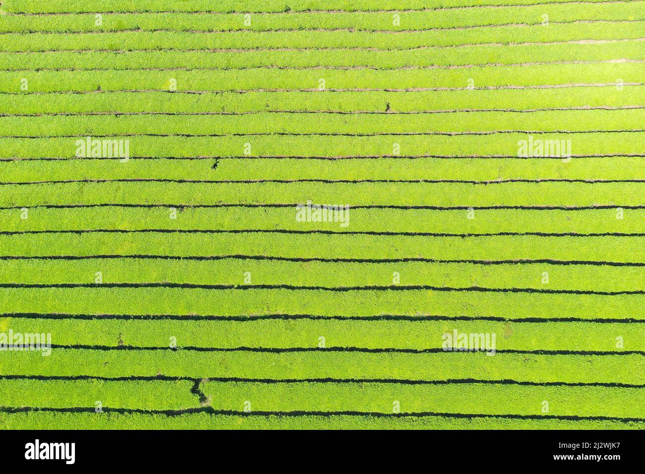 GUILIN, CHINA - APRIL 4, 2022 - An aerial photo taken on April 4, 2022 ...