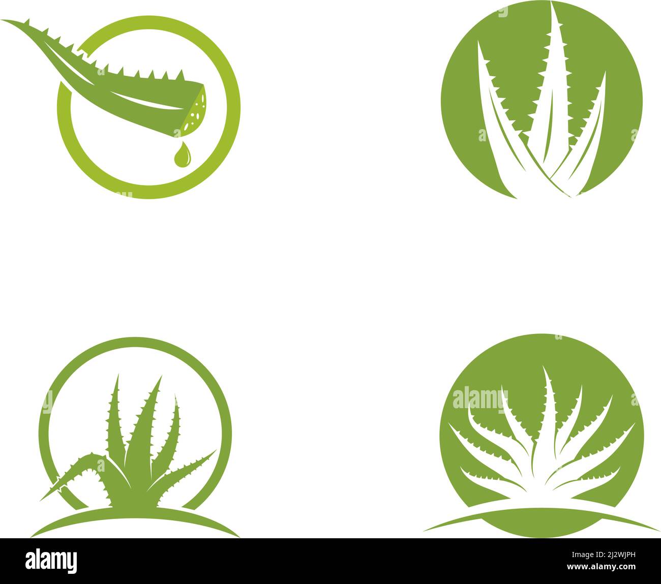 Aloe vera logo vector ilustration template Stock Vector Image & Art - Alamy