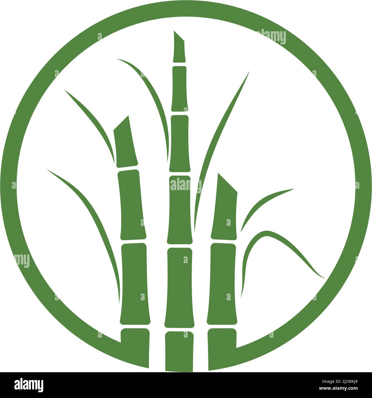 Sugar cane plant logo vector illustration design Stock Vector Image ...