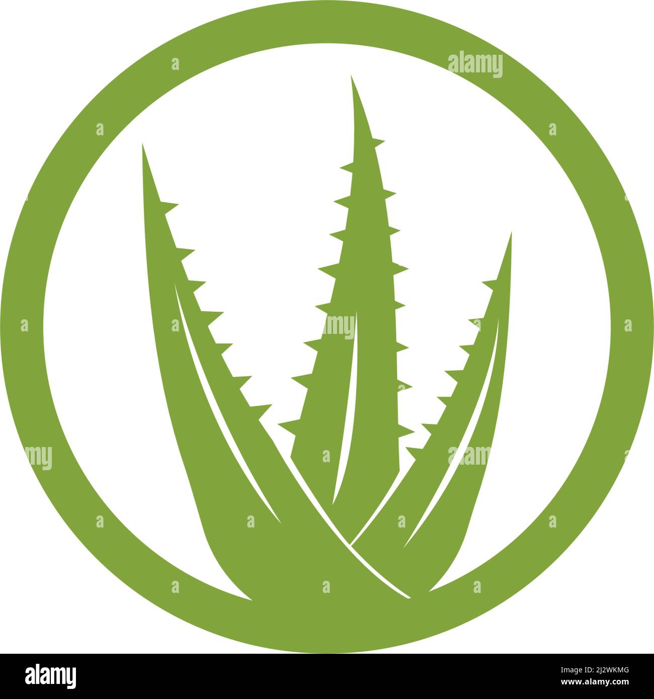 Aloe vera logo vector ilustration template Stock Vector Image & Art - Alamy