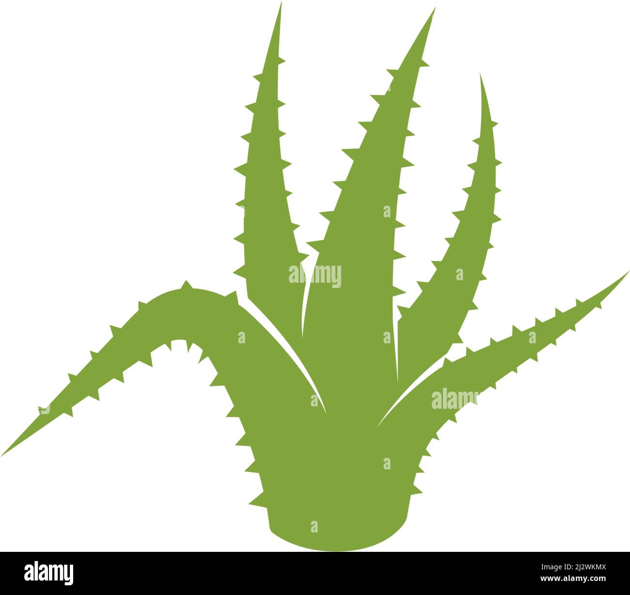 Aloe vera logo vector ilustration template Stock Vector Image & Art - Alamy