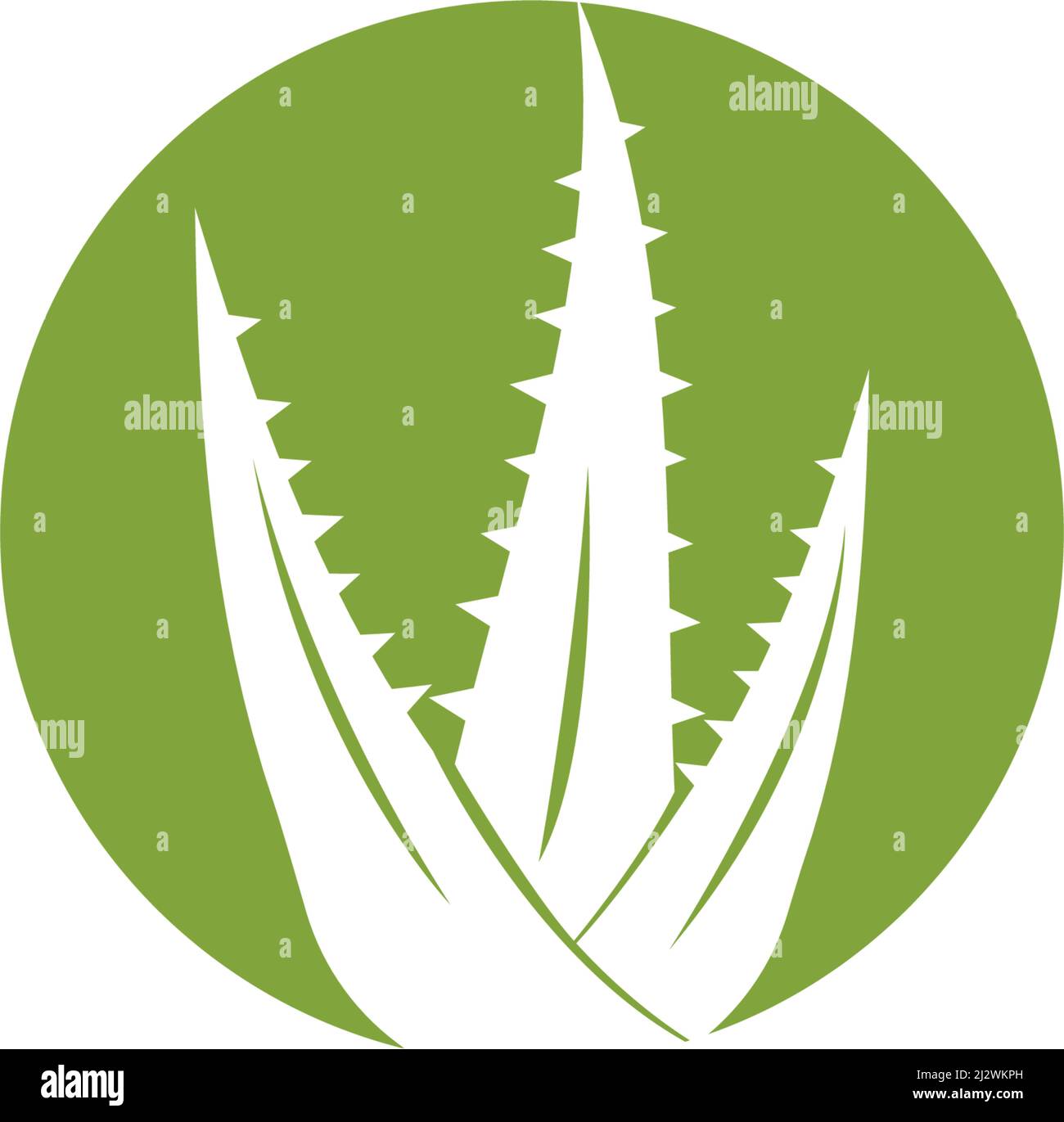 Aloe vera logo vector ilustration template Stock Vector Image & Art - Alamy