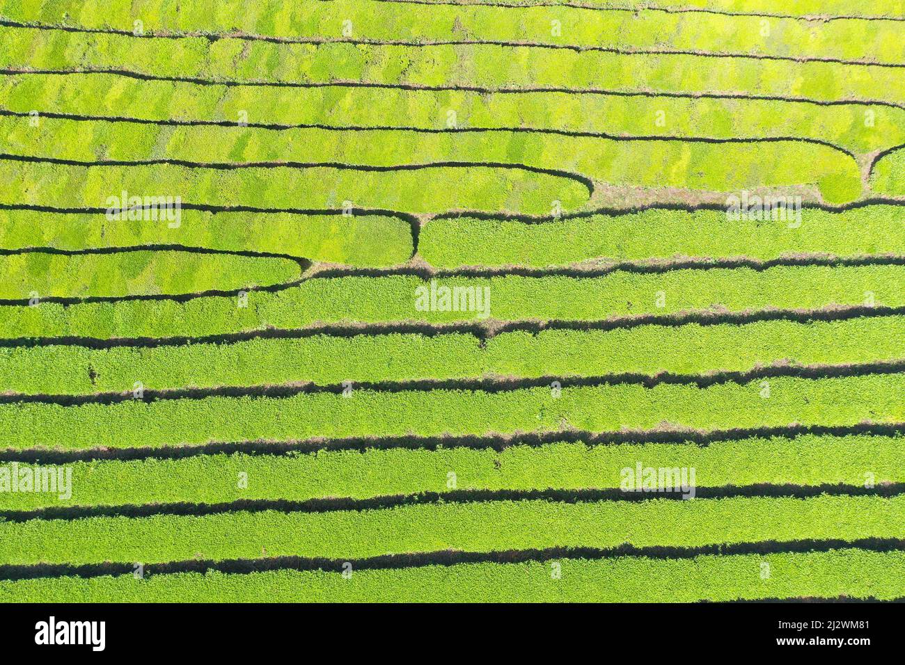 GUILIN, CHINA - APRIL 4, 2022 - An aerial photo taken on April 4, 2022 ...