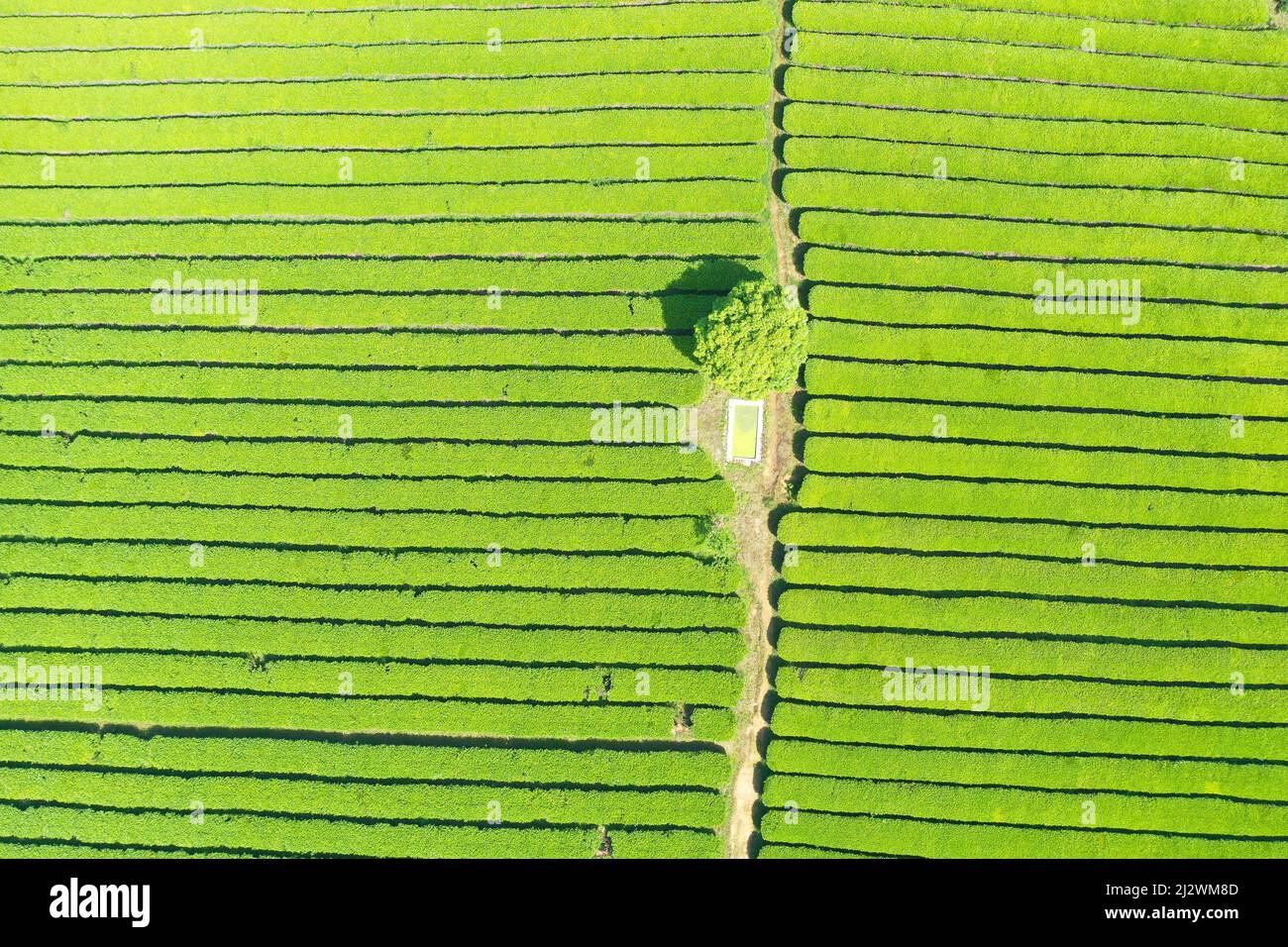 GUILIN, CHINA - APRIL 4, 2022 - An aerial photo taken on April 4, 2022 ...