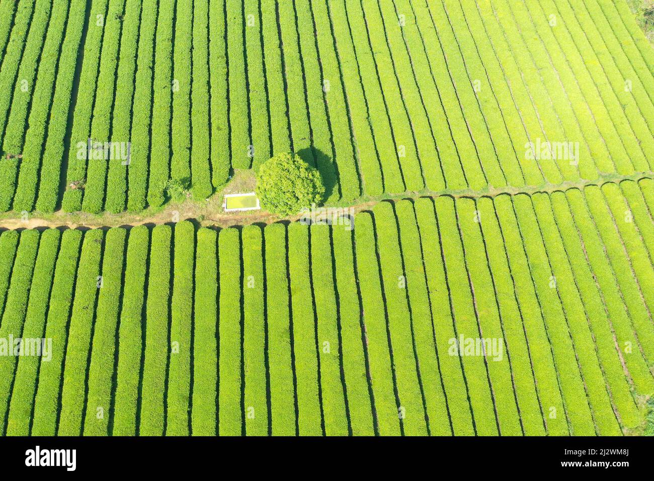 GUILIN, CHINA - APRIL 4, 2022 - An aerial photo taken on April 4, 2022 ...