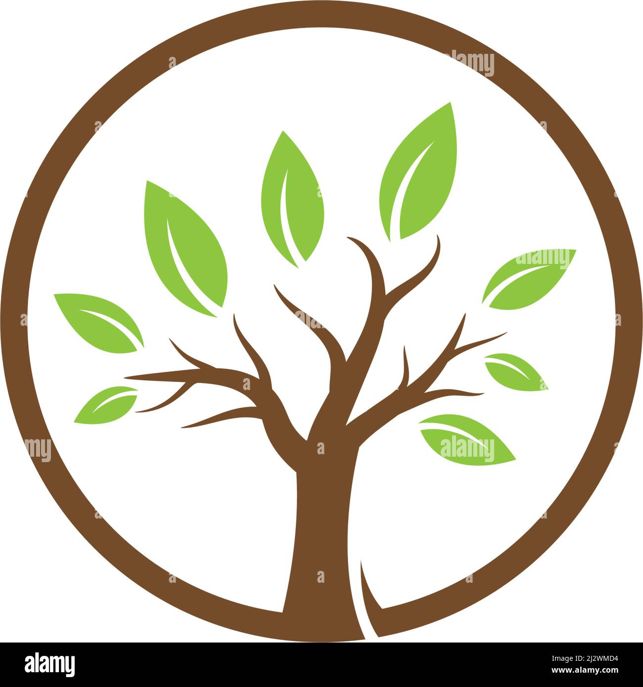 dead-wooden-root-stock-vector-images-alamy