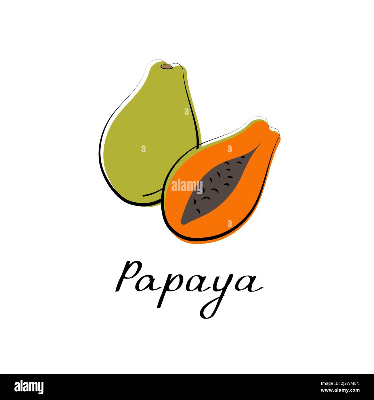Papaya icon. Hand drawn vector isolated food icon. Illustration of ...