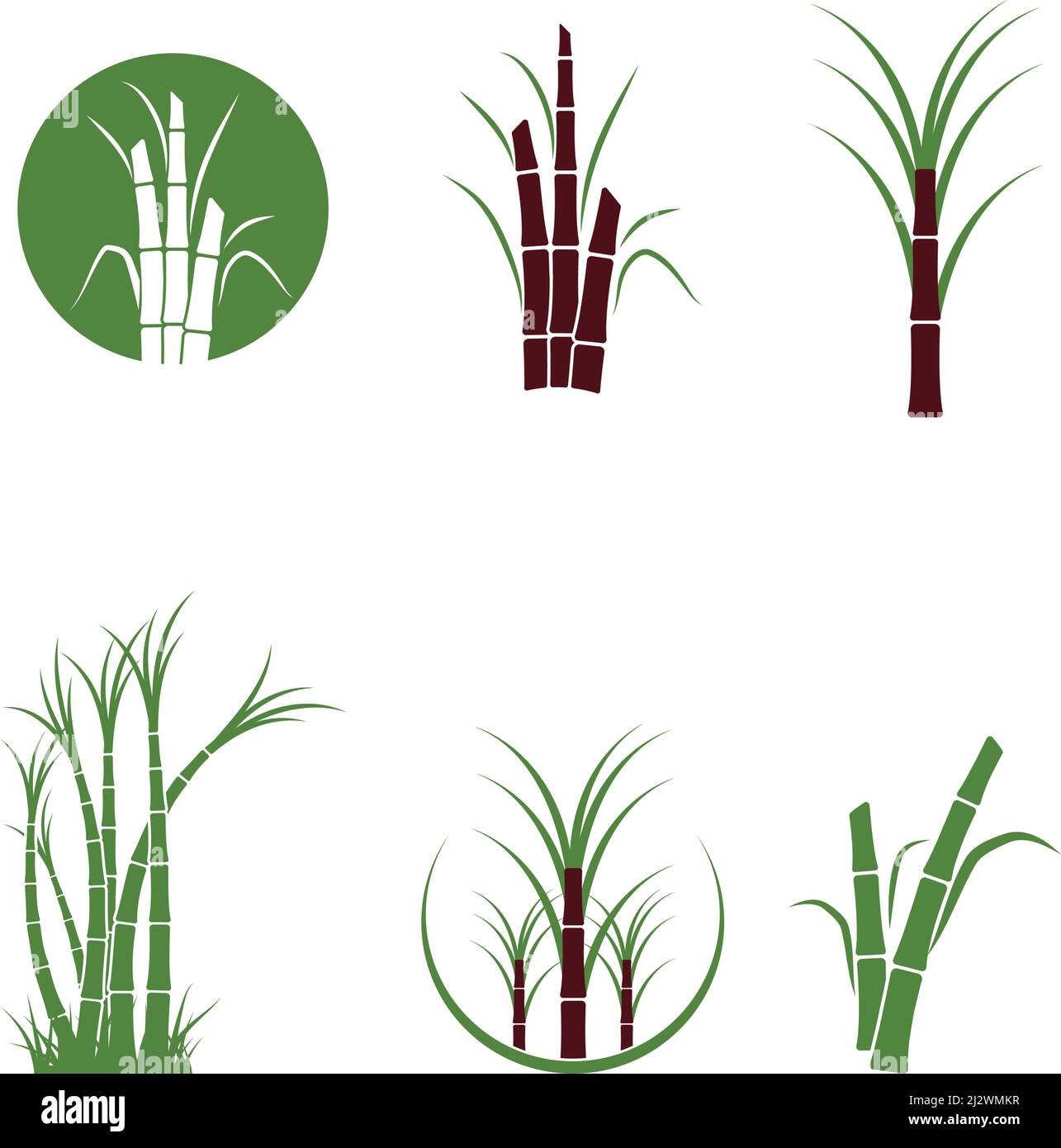 Sugar cane tree logo vector illustration design Stock Vector Image ...