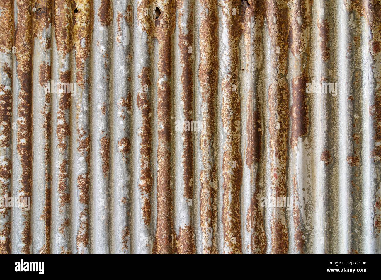 Old weathered and rusty corrugated metal sheet Stock Photo - Alamy