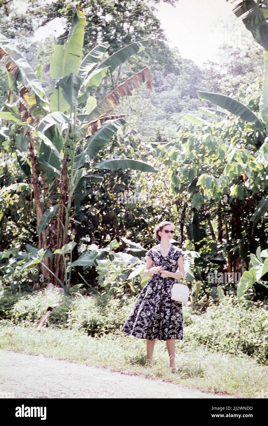 Indian trinidad woman hi-res stock photography and images - Alamy