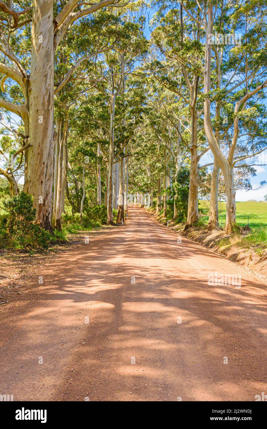 Mount shadforth scenic drive hi-res stock photography and images - Alamy
