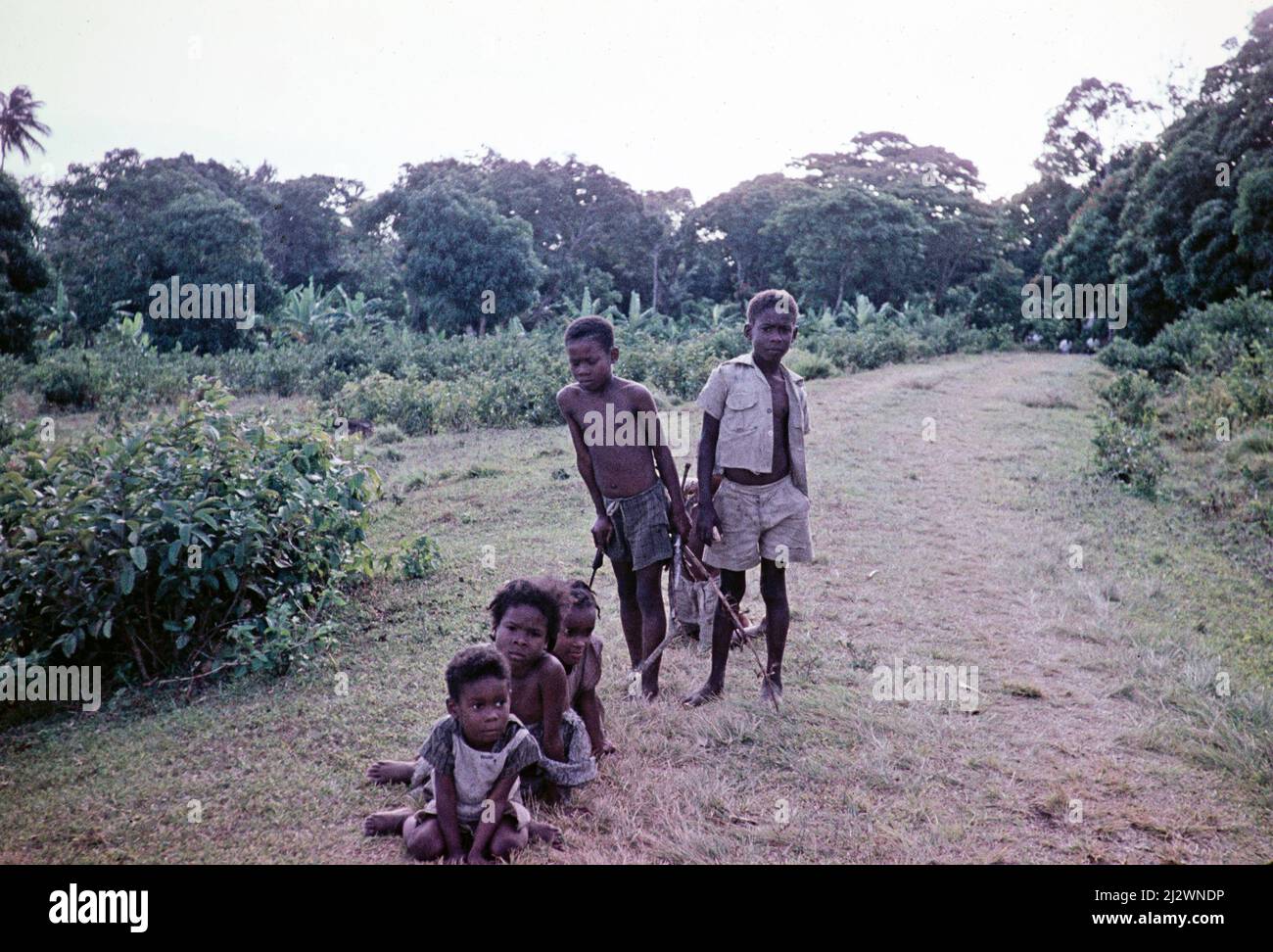 A group of children in a rural area near Fort George, Trinidad c 1962 ...