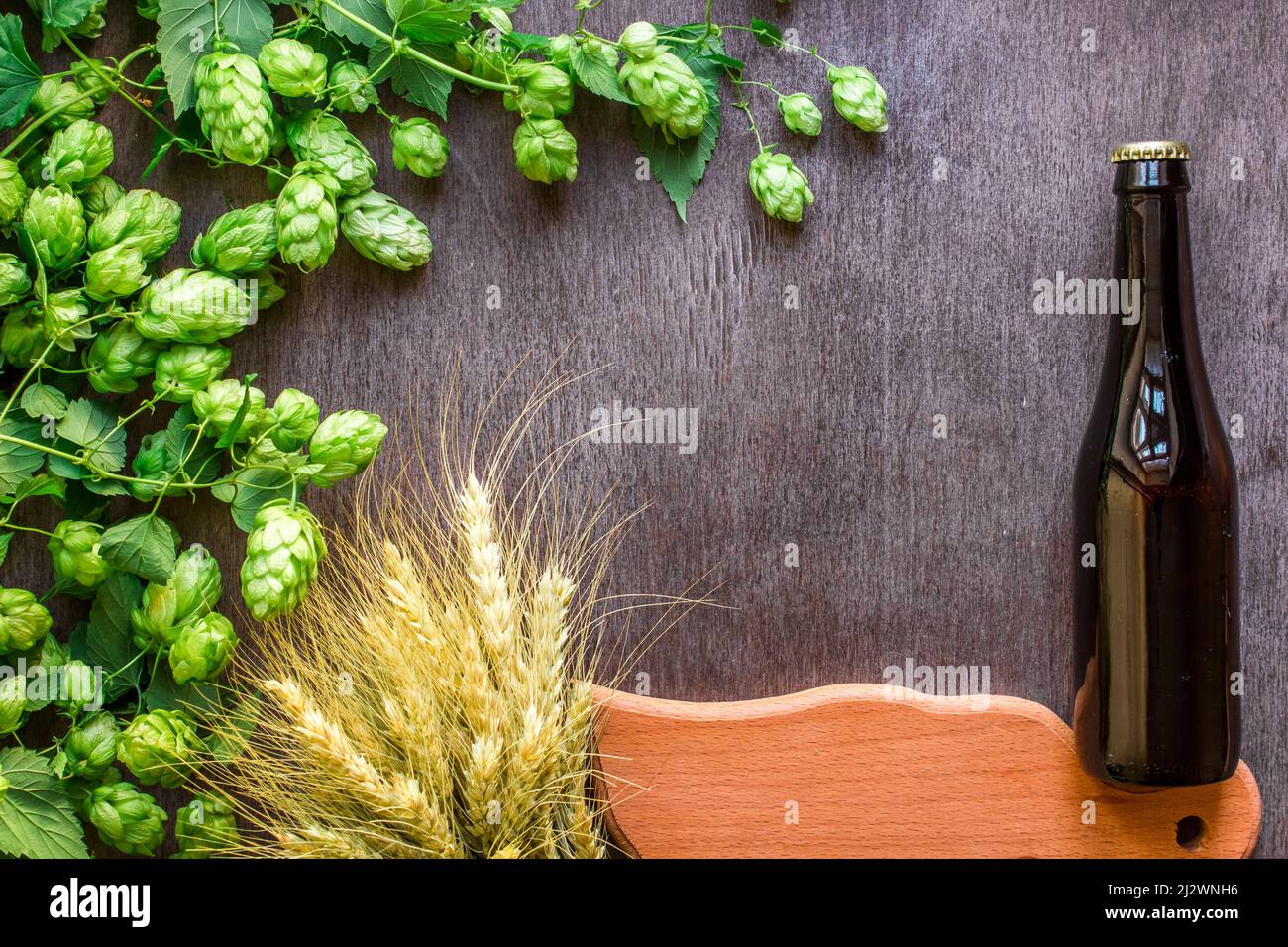Bottle of beer with Brewing ingredients. Hop flower with wheat. Top ...