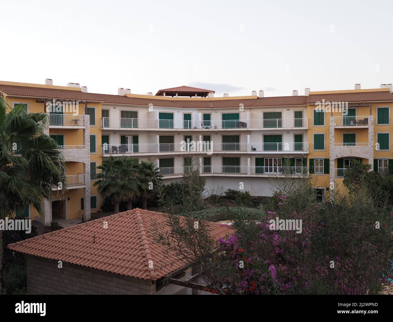 Buildings and exotic tropical plants in african Santa Maria town on Sal ...