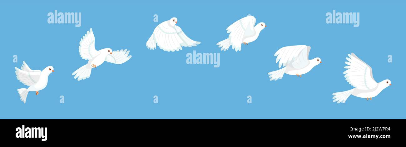 Flight stages Stock Vector Images - Alamy