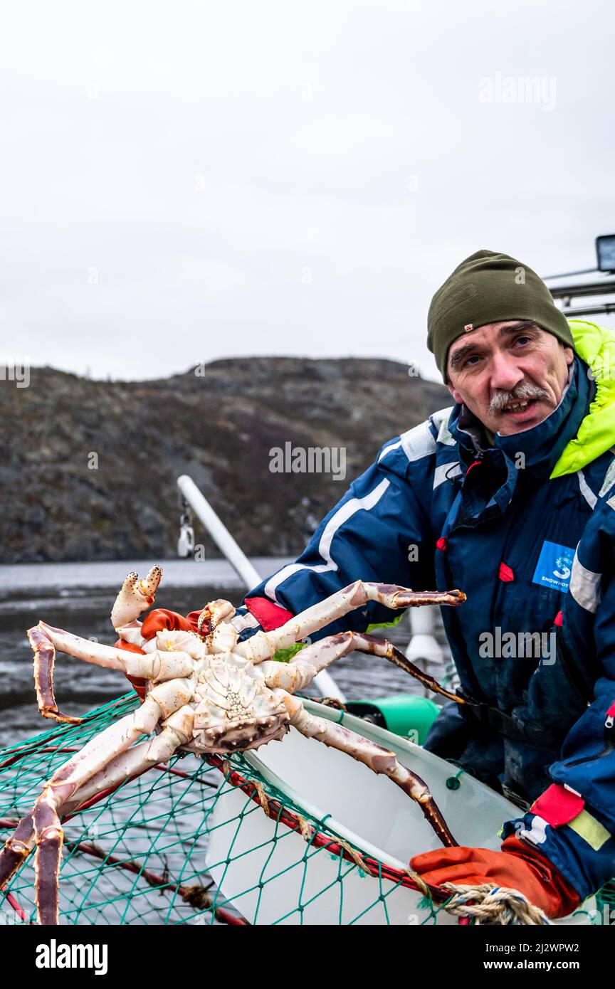 Hand holding crab creature hi-res stock photography and images - Alamy