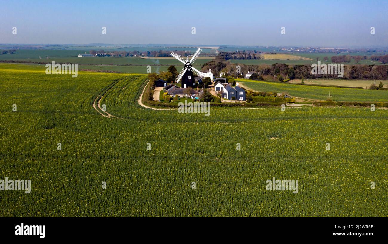 Aerial view of a field of early rape seed plants, near Ripple Mill ...