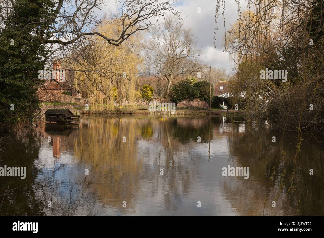 Russells hi-res stock photography and images - Alamy