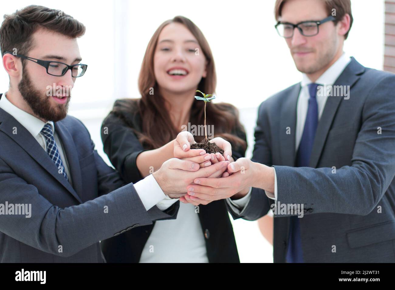 Business team holding a fresh new plant on palm Stock Photo - Alamy