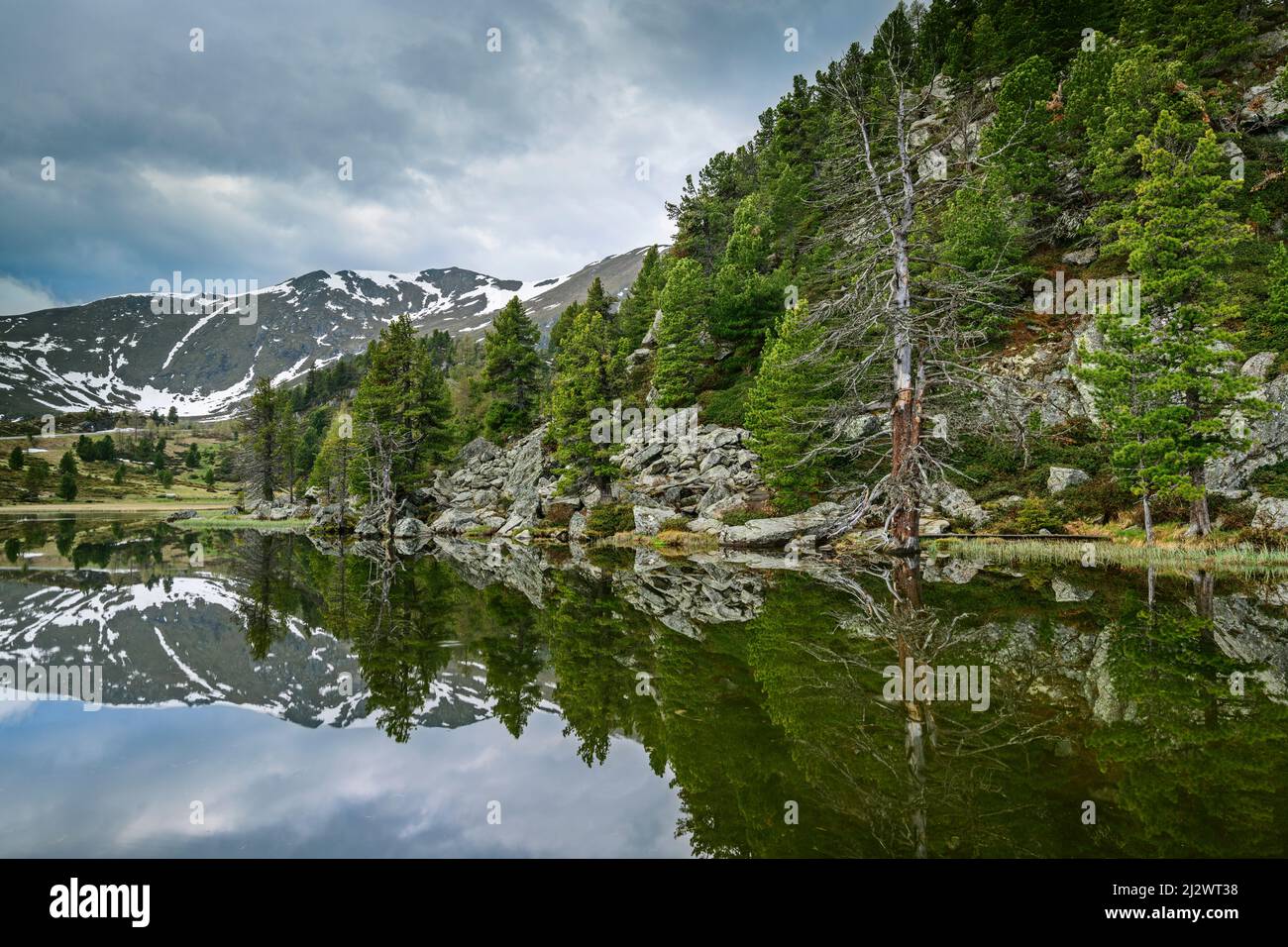 Nockberge and trees are reflected in mountain lake, Windebensee ...