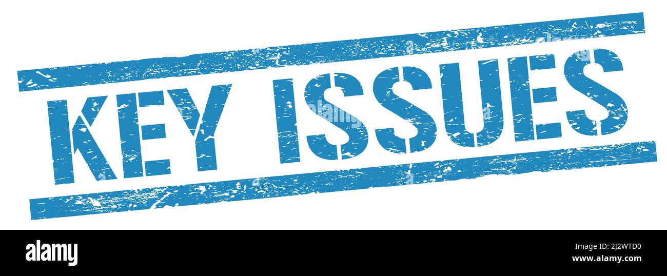 KEY ISSUES text on blue grungy rectangle stamp sign Stock Photo - Alamy