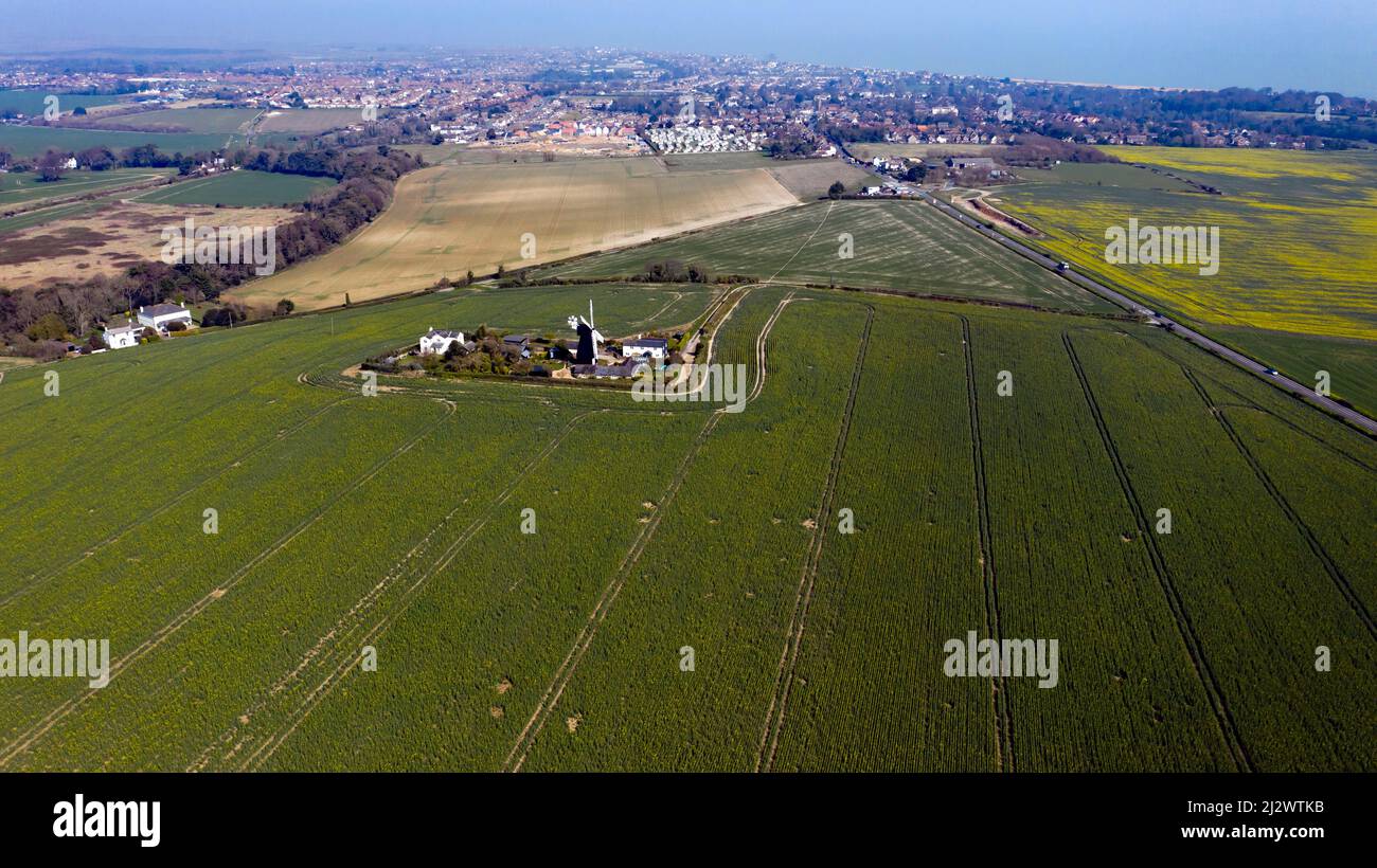 Aerial view of a field of early rape seed plants, near Ripple Mill ...