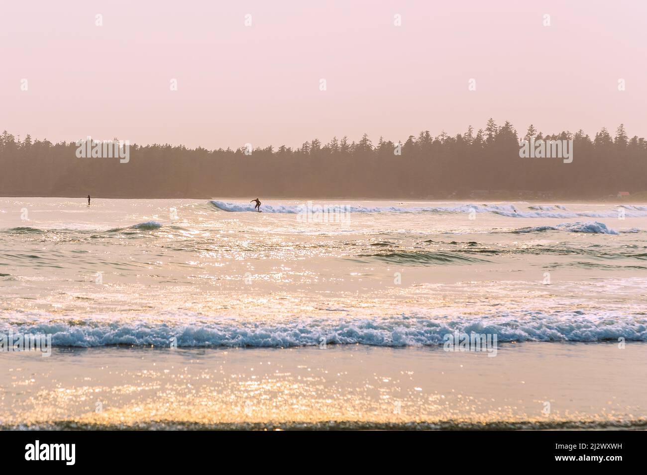 Vancouver Island, Pacific Rim National Park, Long Beach Stock Photo - Alamy