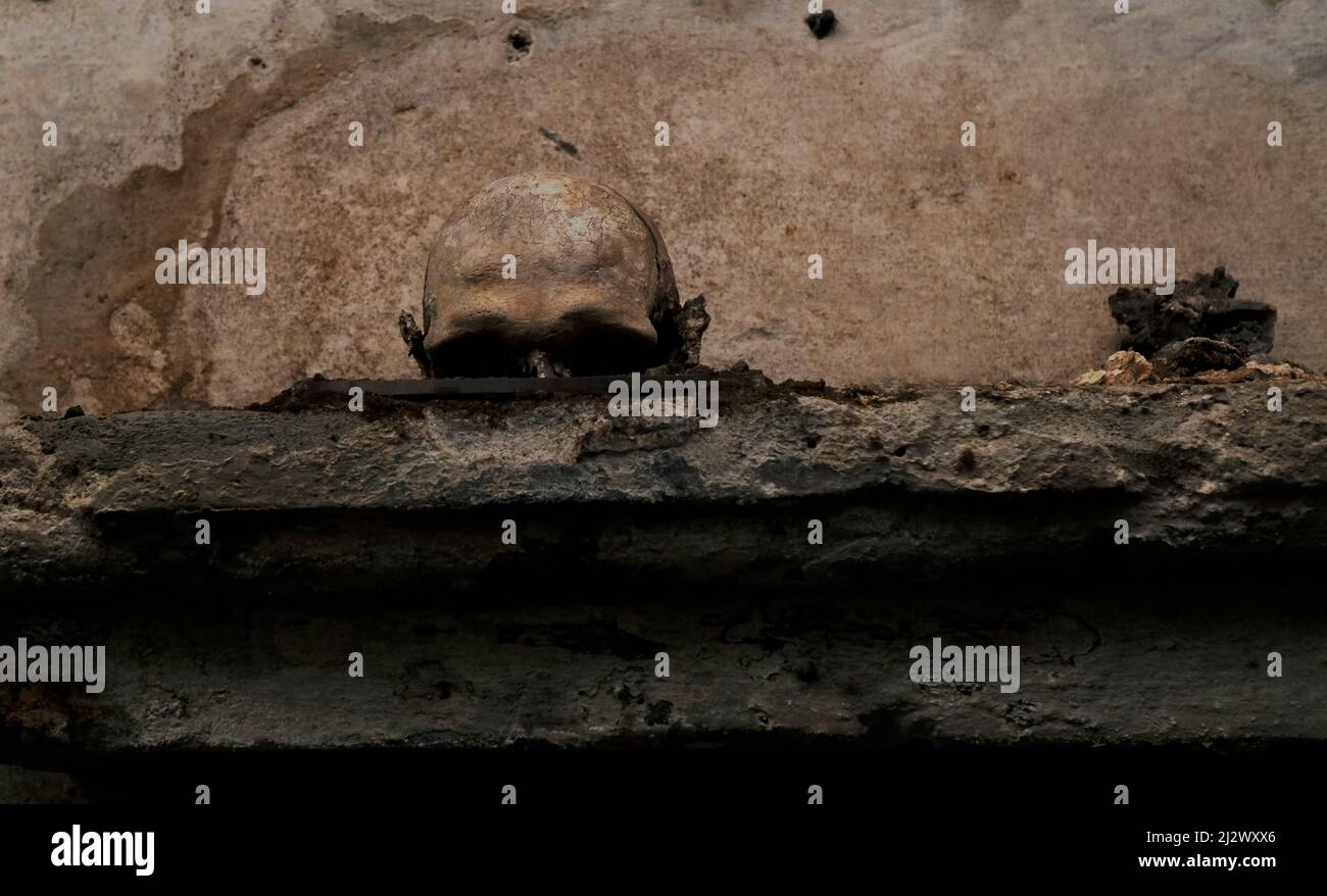 The famous "skull with ears" in the Church of Santa Luciella ai Librai ...