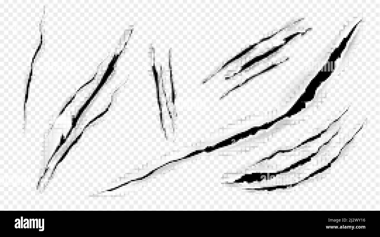 Cat marks, claws scratches isolated vector pets or wild animal nails ...