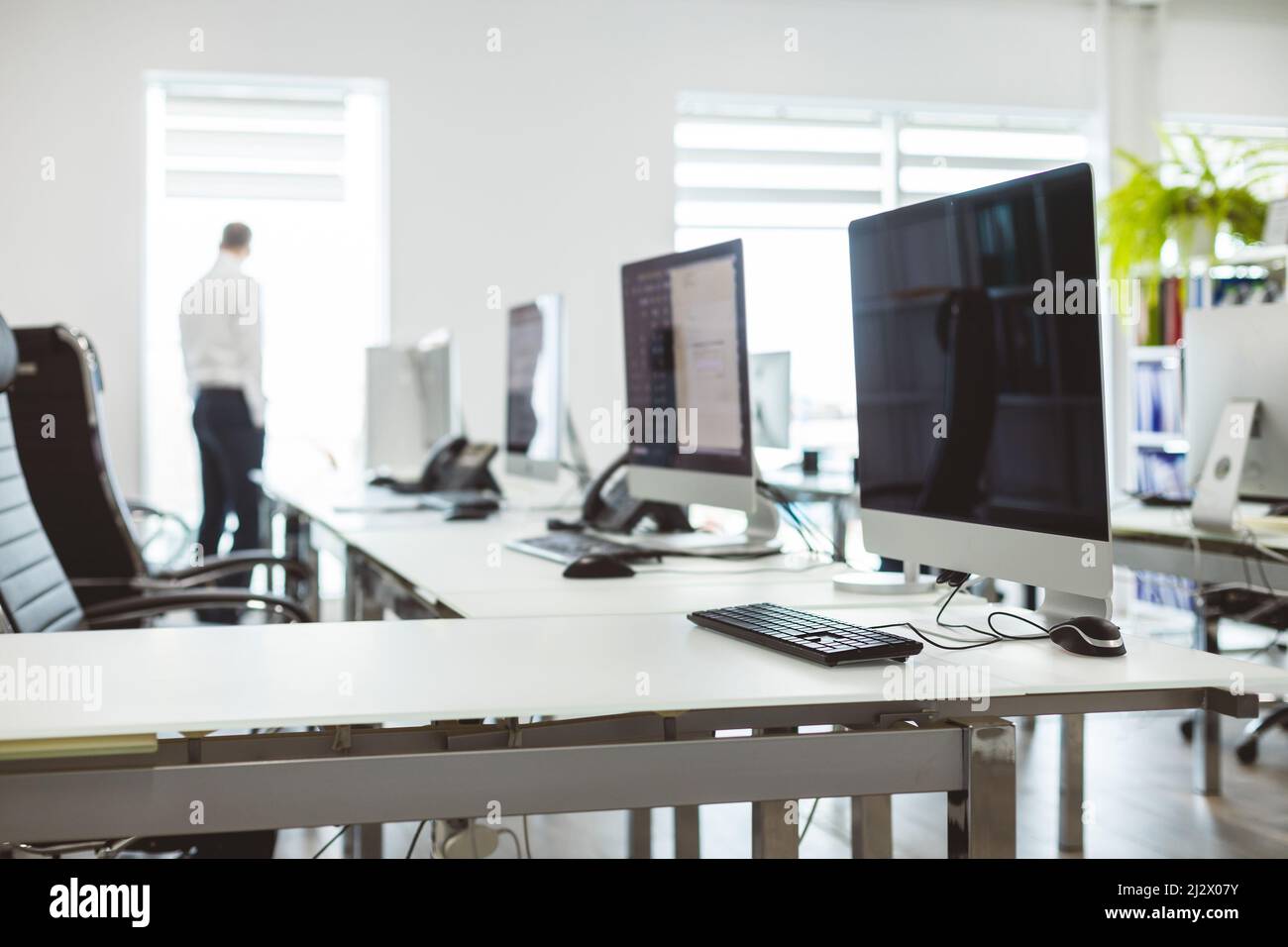 Interior of a modern light small company office. Workspace, office ...