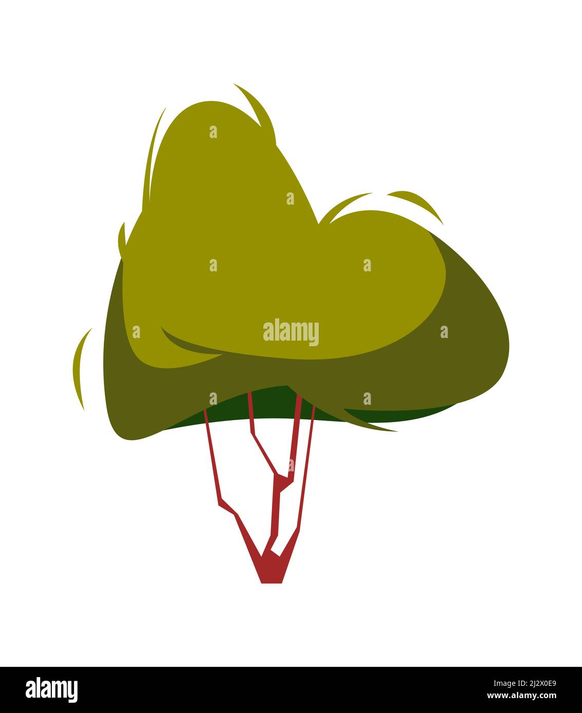 Tree with green foliage, natural object isolated on white background ...