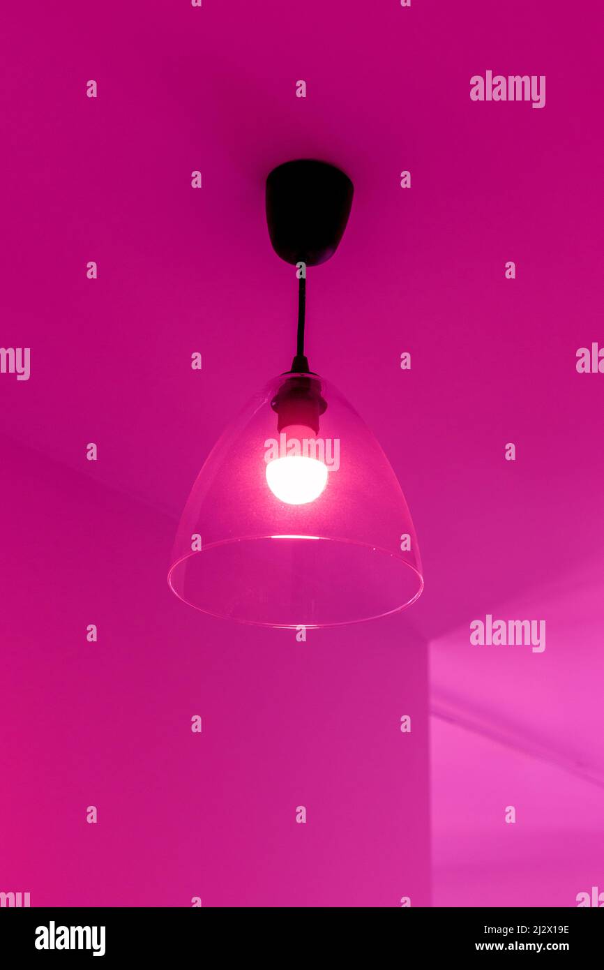 Lamp on the ceiling in the room in pink light Stock Photo - Alamy