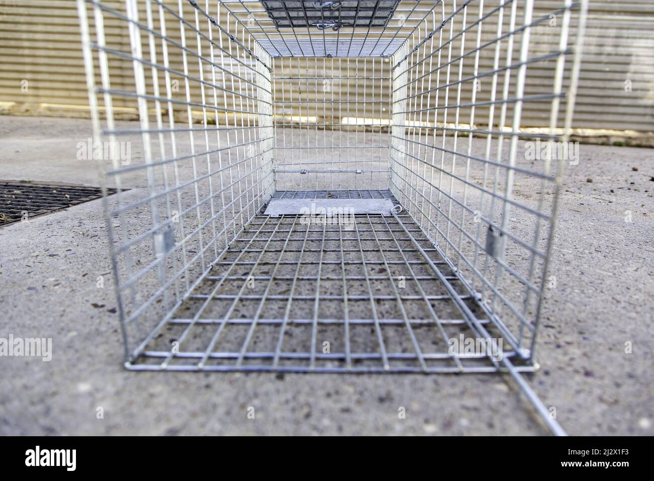 Empty cage for hunting cats and animals, objects Stock Photo - Alamy