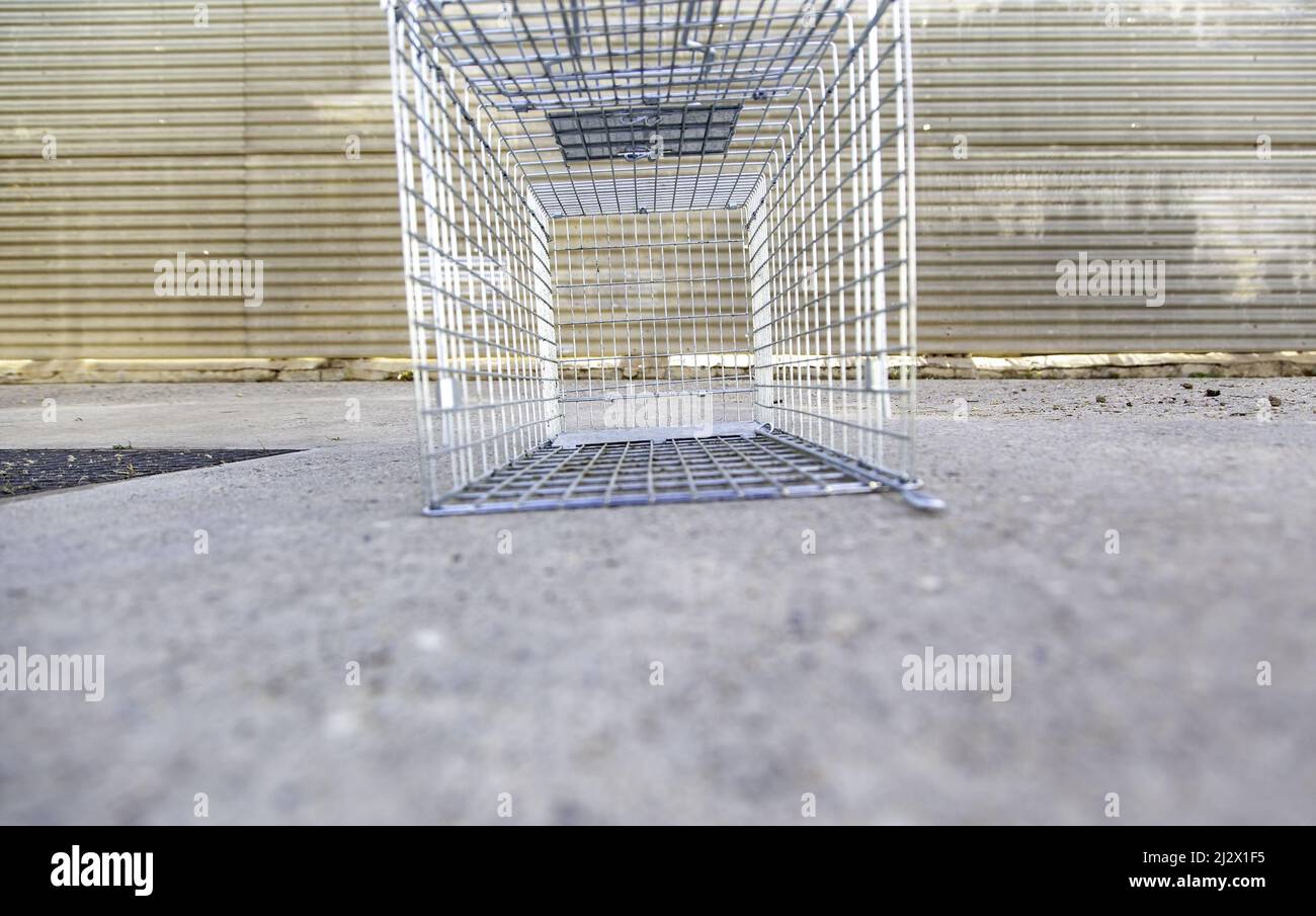 Empty cage for hunting cats and animals, objects Stock Photo - Alamy