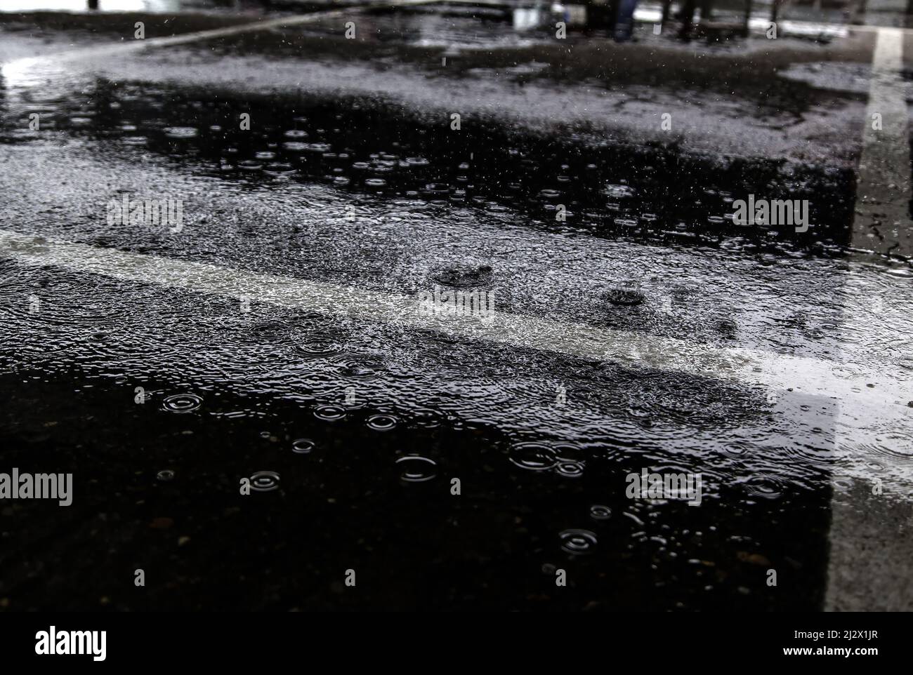 Raindrops on the street, bad weather and storm, humidity Stock Photo ...