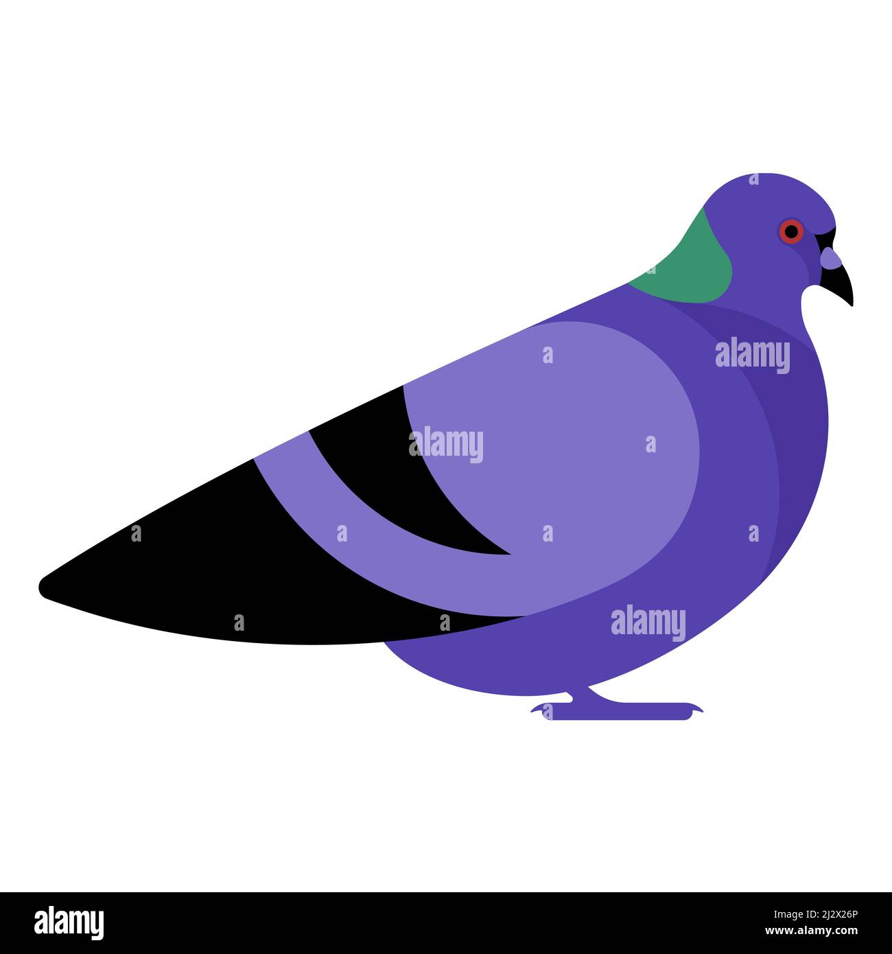 Pigeon profile view Stock Vector Images - Alamy