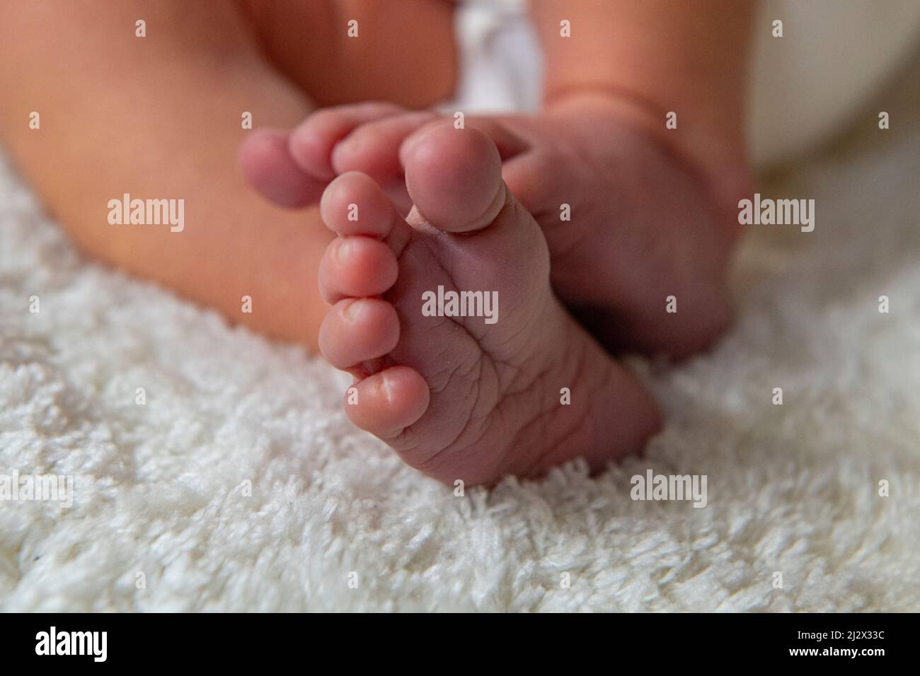 Detail of a newborn baby's feet at a few days old Stock Photo - Alamy