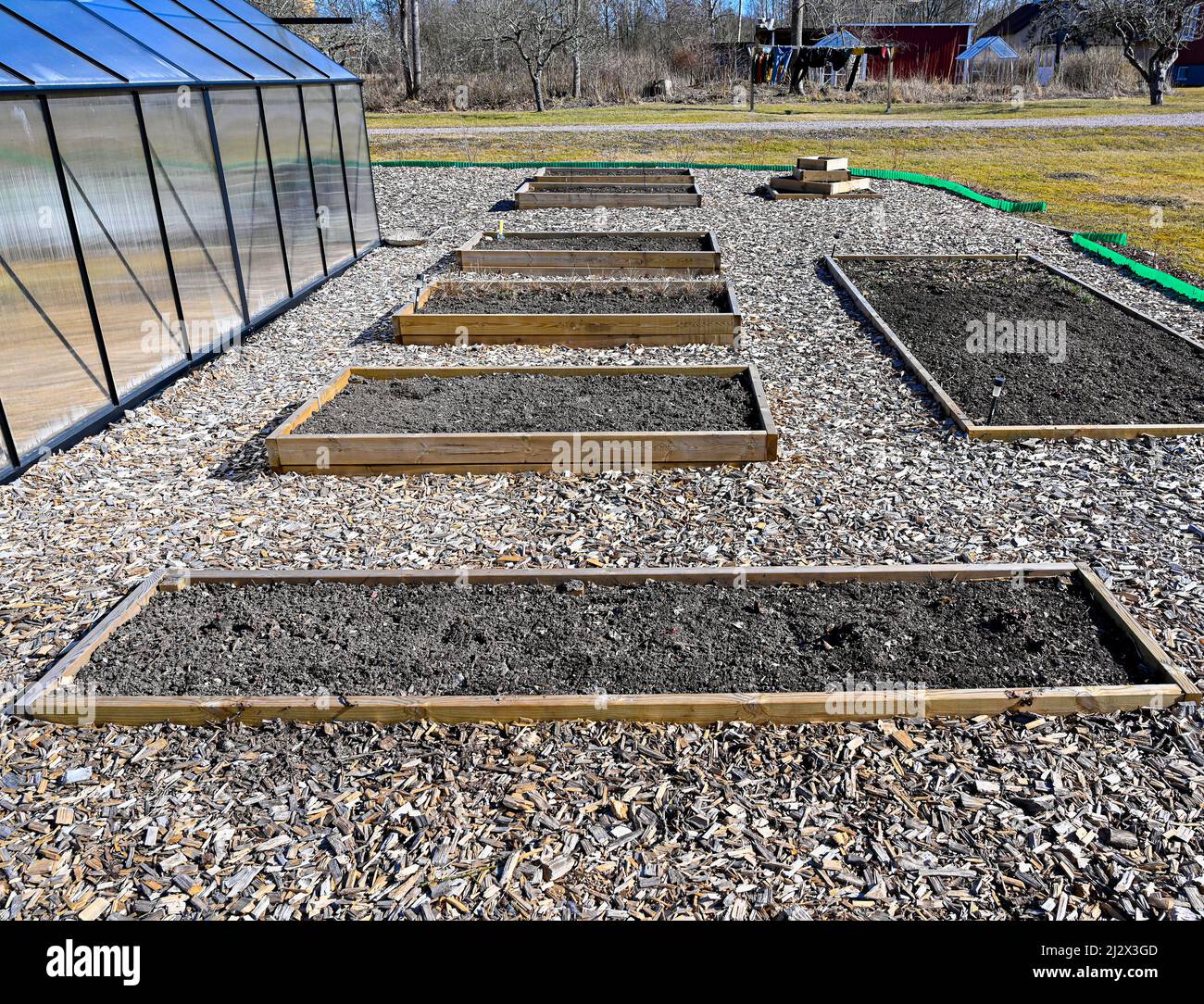 cultivating boxes with soil ready for sprong planting Stock Photo - Alamy