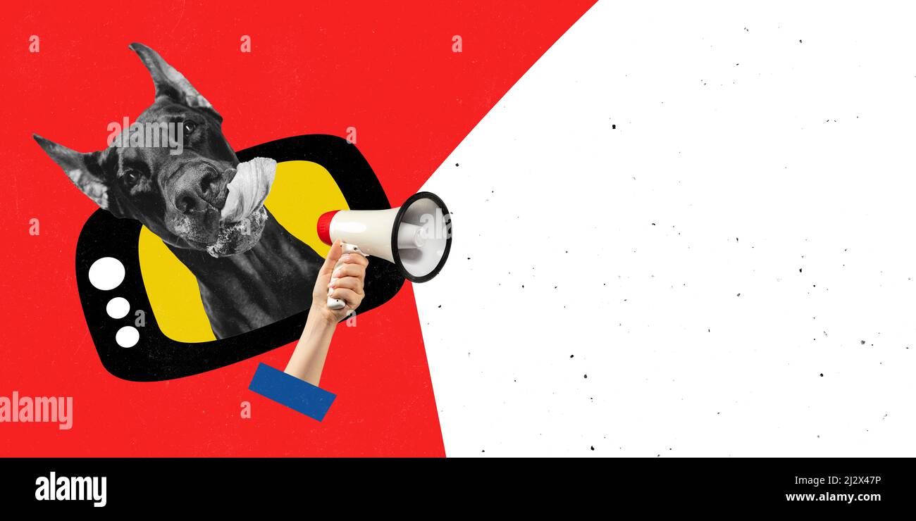 Contemporary art collage. Doberman dog shouting at megaphone isolated ...