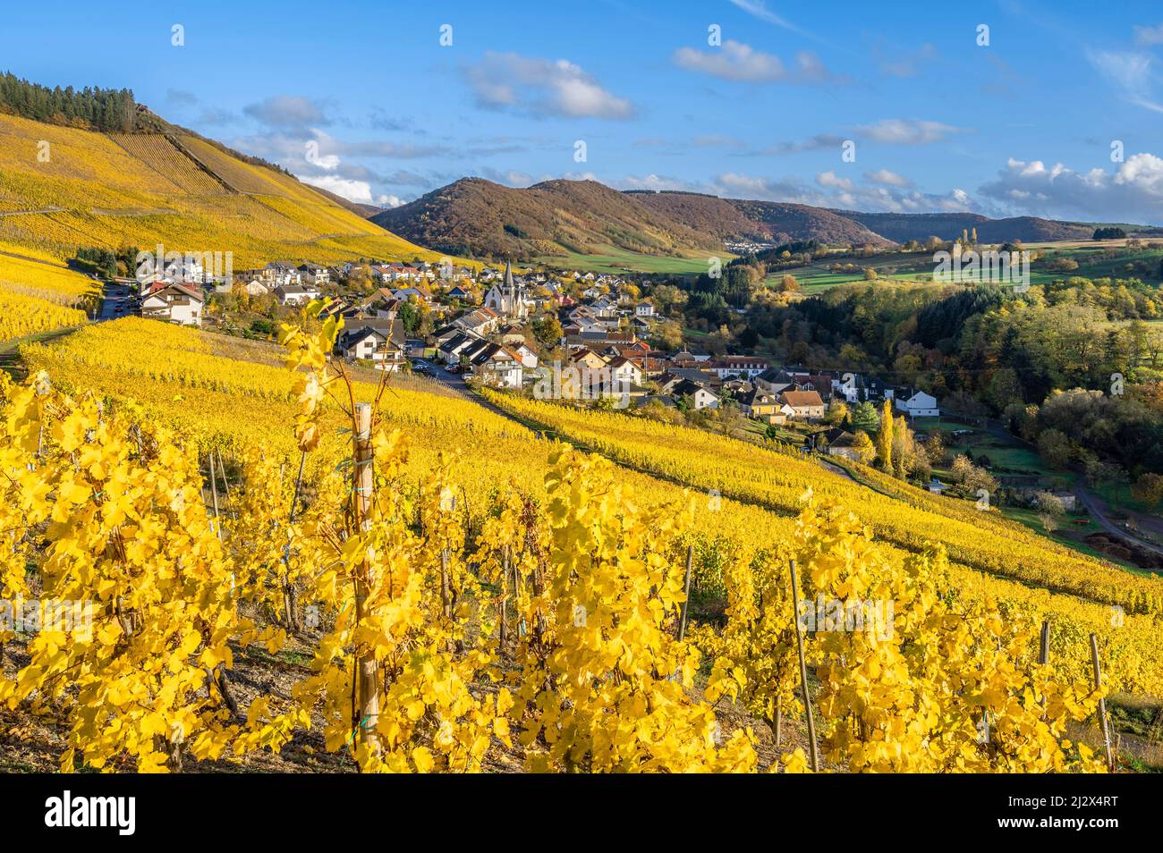 View of the wine village of Okfen, Saar Valley, Rhineland-Palatinate ...
