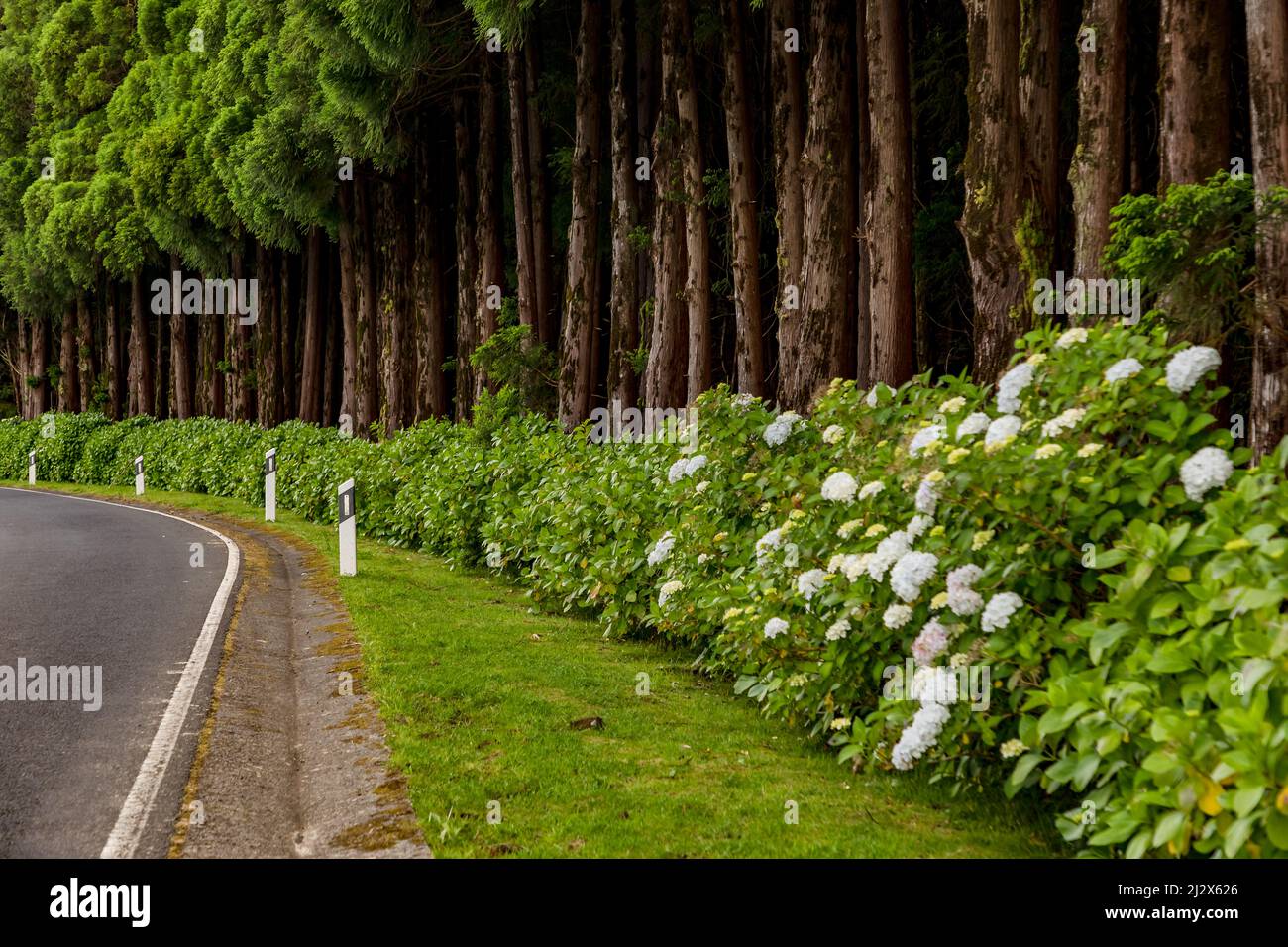 Rind road island hi-res stock photography and images - Alamy