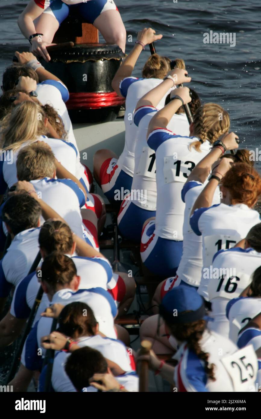 Dragon boating hi-res stock photography and images - Alamy
