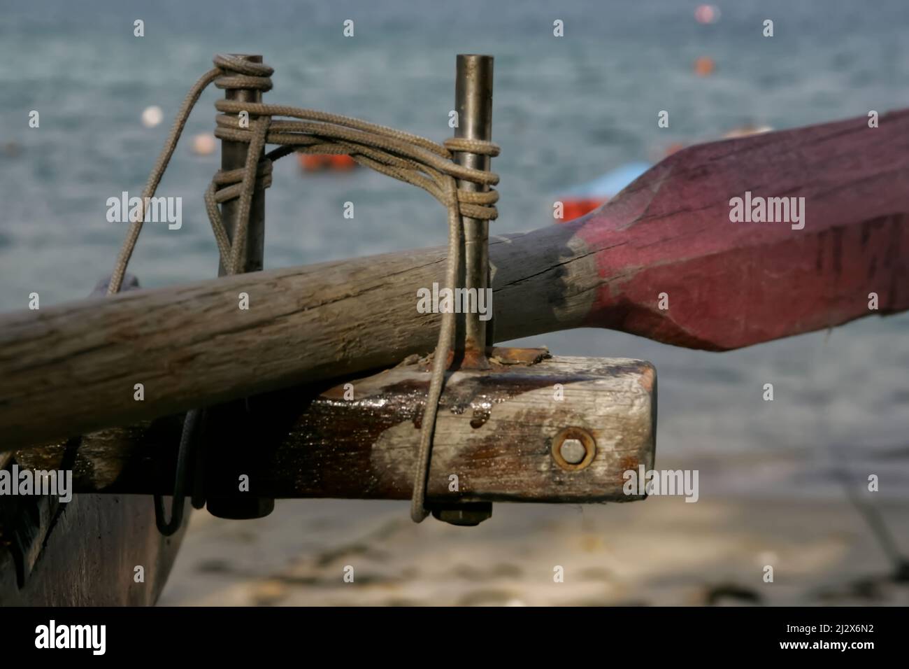 steering oar of a dragon boat Stock Photo - Alamy