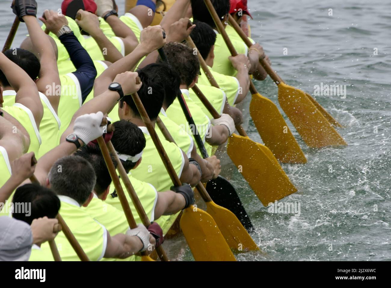the paddle crew of a dragon boat Stock Photo - Alamy