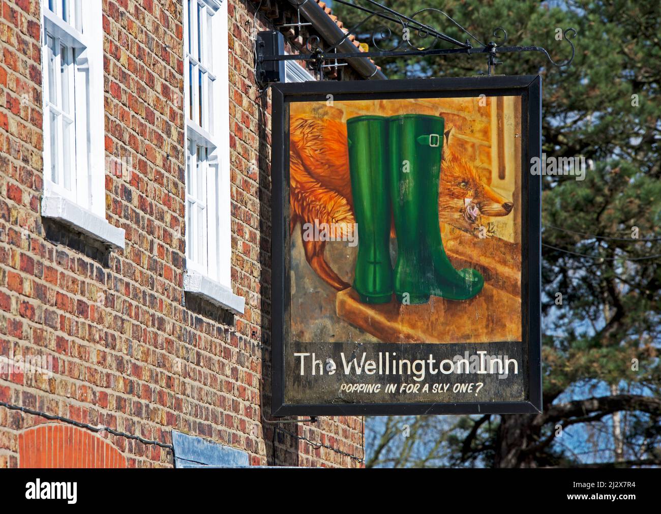 Pictorial sign for the Wellington pub in the village of Lund, East ...
