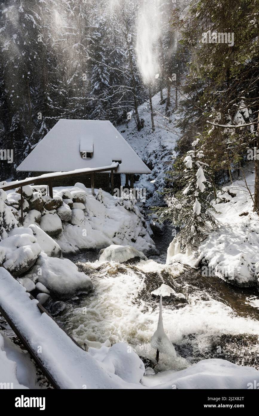 Ravennaschlucht with snow and ice, winter, near Hinterzarten, Black ...