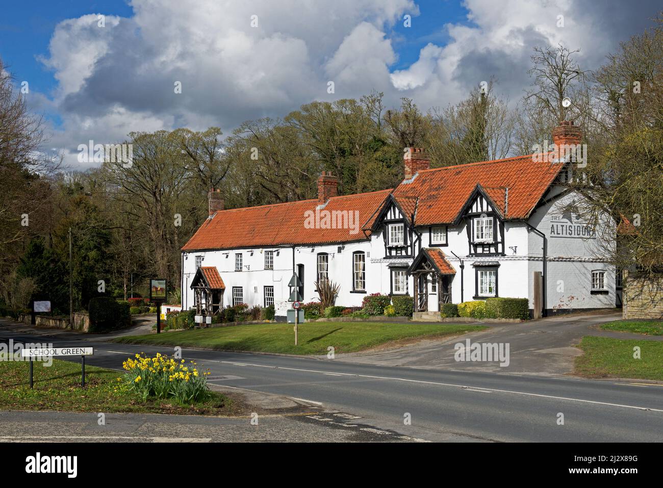 Altisidora pub hi-res stock photography and images - Alamy