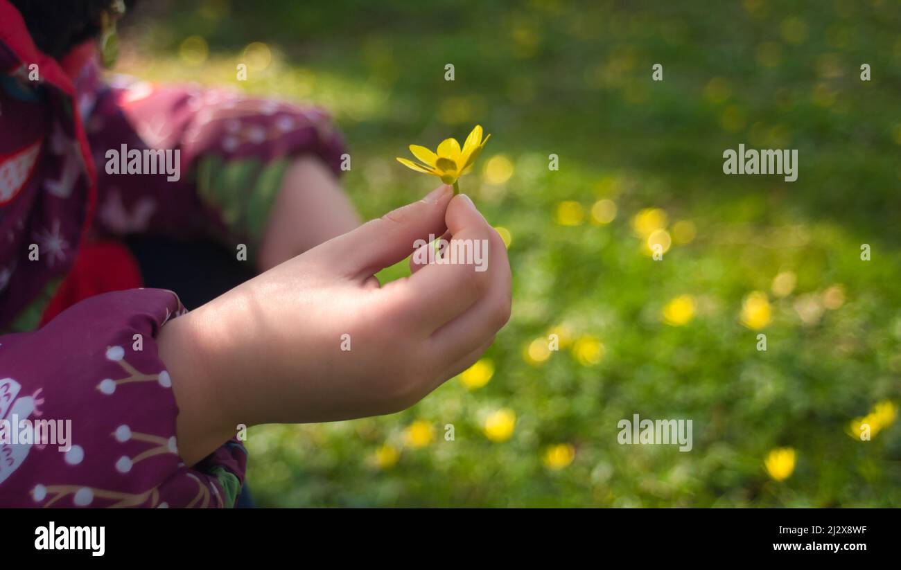 Focal Point Photography Definition